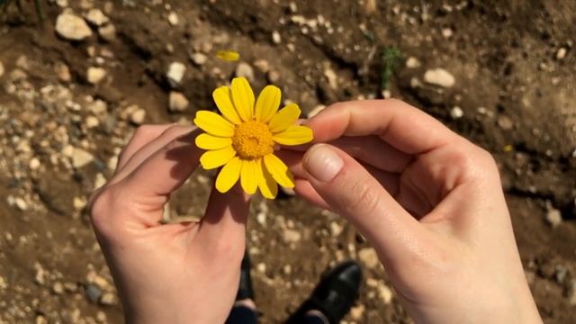 854004-hd_1920_1080_30fps