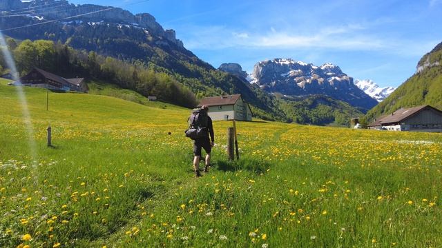 8148429-uhd_3840_2160_30fps