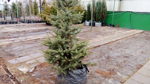 Ботанический центр Красная нива.
Очень много классных растений.