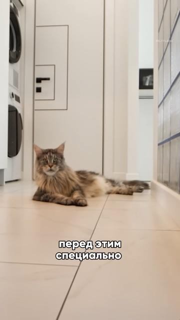 Не совершайте этих ОШИБОК❗️ СТЕКЛОБЛОКИ в интерьере👌