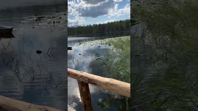 Пять Озер Окунево Озеро Данилово   Щучье  Линево