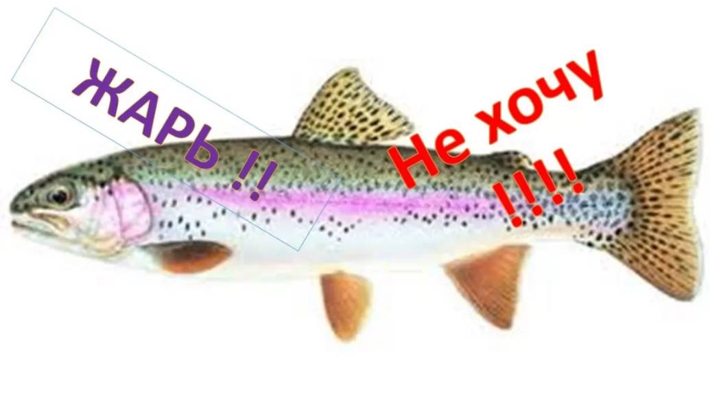 Как приготовить рыбу и свежие овощи на углях!!!!  Ну очень вкусно!! Рецепт приготовления