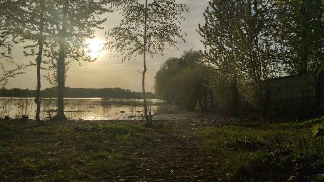 Grafin'ka. Bird's song. Стих в описании.