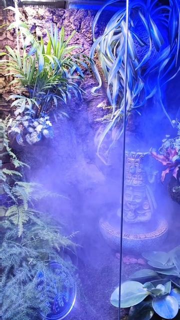 VID-20250330-WA0001.mp4