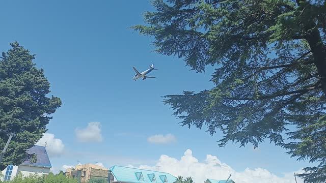 Посадка самолета Юг России Адлер поселок Сириус Красивые места