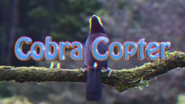 Cobra Copter - Don't Understand