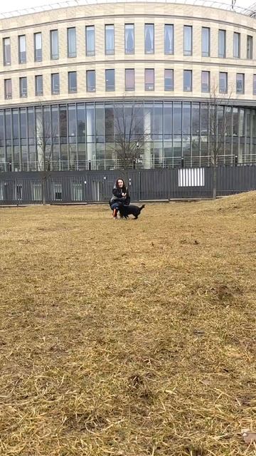 Метис Ричард - первые роллы