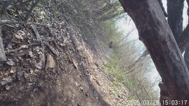 Краснодар. Большой остров - понтонный мост