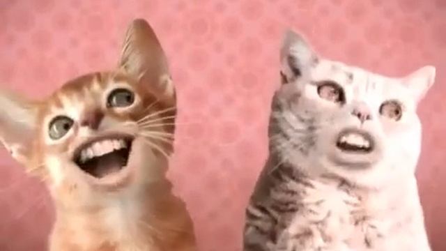 Я не знаю что это