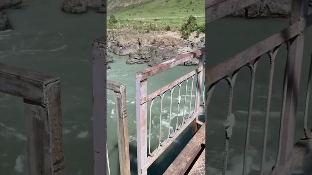 Самое узкое и глубокое место Катуни  Ороктойский мост #happiness #алтай #nature #bridg