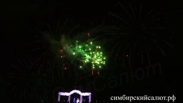 Профессиональный салют (№1823) (52)