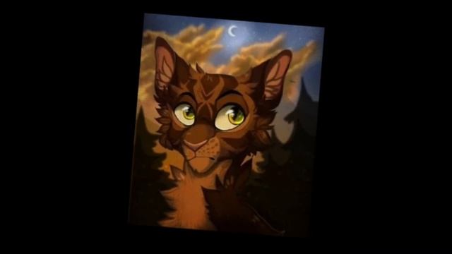 Эдит ежевичная звезда коты воители