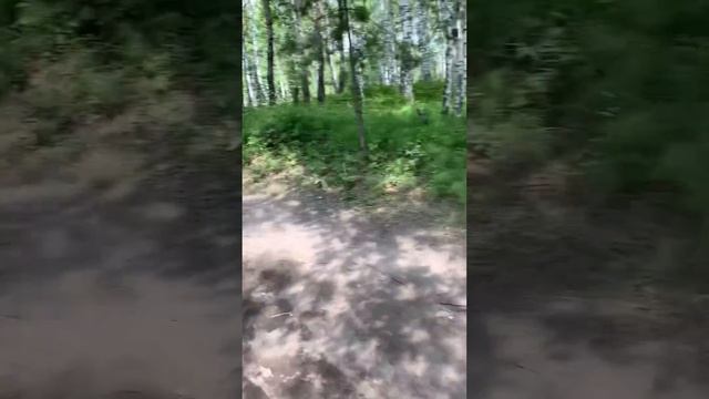 Пять ОзерОкунево Потаенное пятое озеро