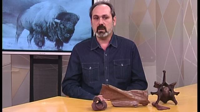 Вам слово. Программа телеканала "РЕН ТВ - Астрахань", Михаил Головочев , 03.12.2014