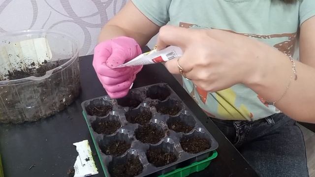 Посеяла гацанию. 16 февраля 2024