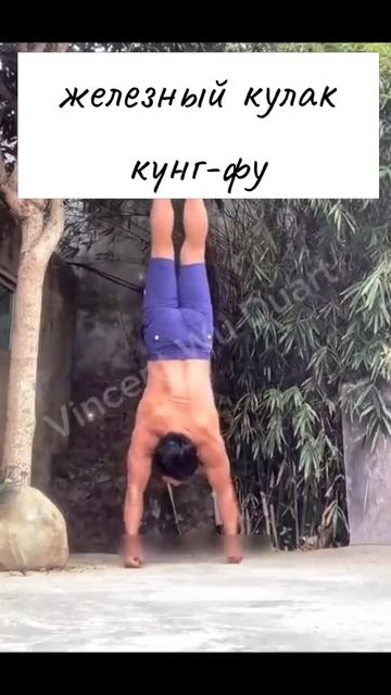 Железный кулак кунг-фу