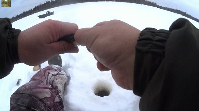 Рыбалка 5 марта.Жерлицы.Рыбалка на безмотылку.