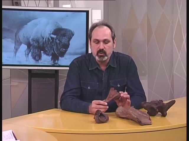 Вам слово. Программа телеканала ″РЕН ТВ - Астрахань″. Михаил Головочев, ч.2., 03.12.2014