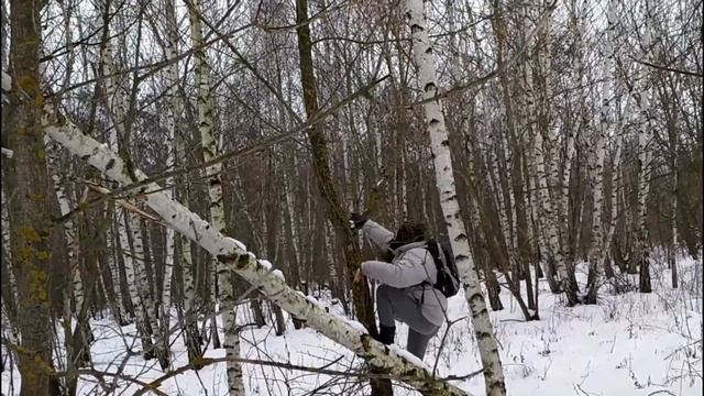 Кинопародия - 67 Сталкер против кабана-мутанта. (отрывок из фильма Пустошь 1 сезон 5 серия)