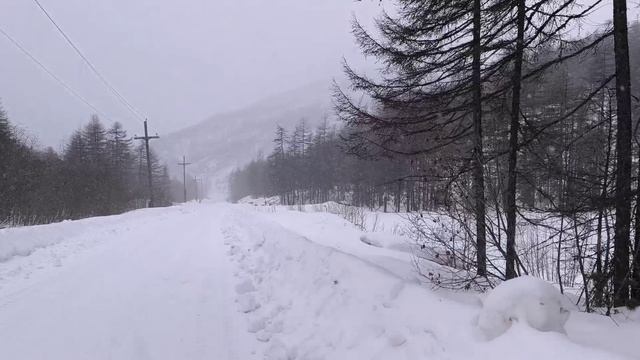 На заснеженном Колчаковском перевале.Туристический маршрут Ручей Конгали. В рыбном магазине п.Ола