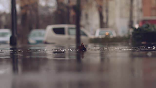 Евгений Гор "На улице дождь" тизер