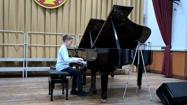 11. Н. Жубинская - «Раздумье». Исполняет Гуменюк Михаил.