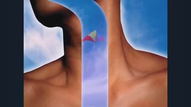 Установка Ларингеальной маски Portex