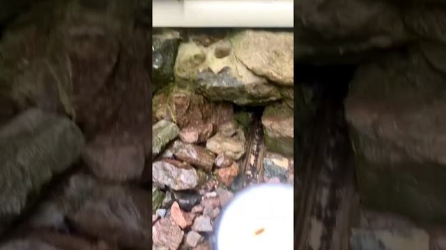 Серебряный Родник Богородицы  Целебный Источник