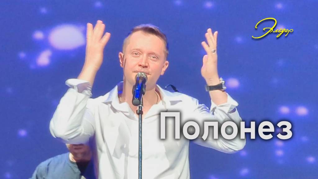 "ПОЛОНЕЗ" Александр Волкодав - КЗ "Эльдар" Москва 27.03.2025 #александрволкодав #чиж #direstraits