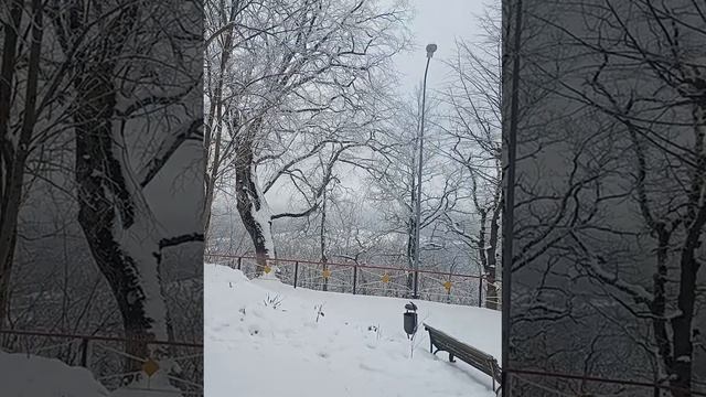 Свято-Михайло-Афонский монастырь.