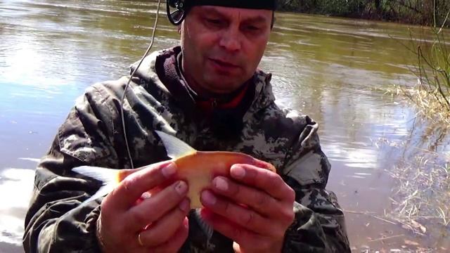 ✅📥Видео с Ютюб. Рыбалка для души. Вода в реке прёт.