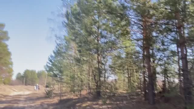 Выходной  на природе  30.03.2025