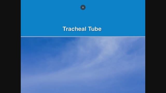 Интубационные трубки Portex