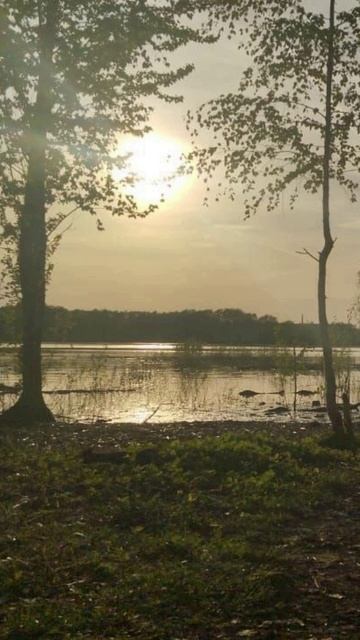 Grafin'ka. Bird's song (Стих в описании)