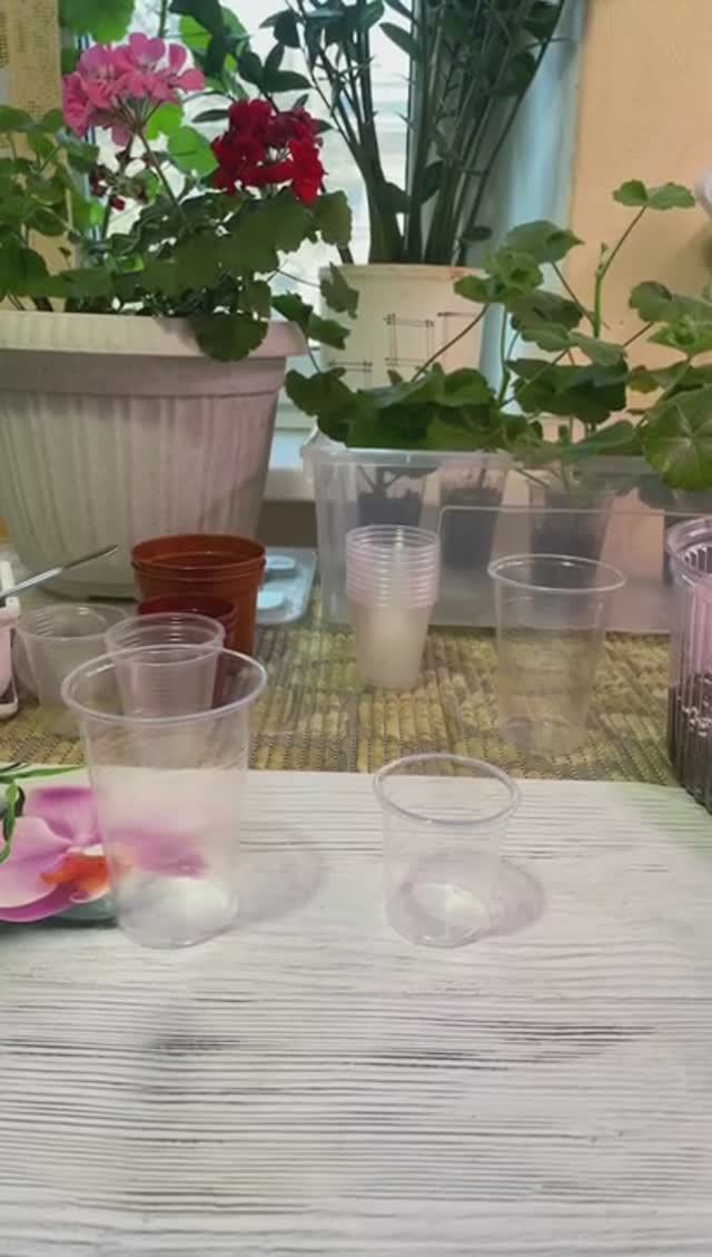 Как сделать Маленький стаканчик из Большого?