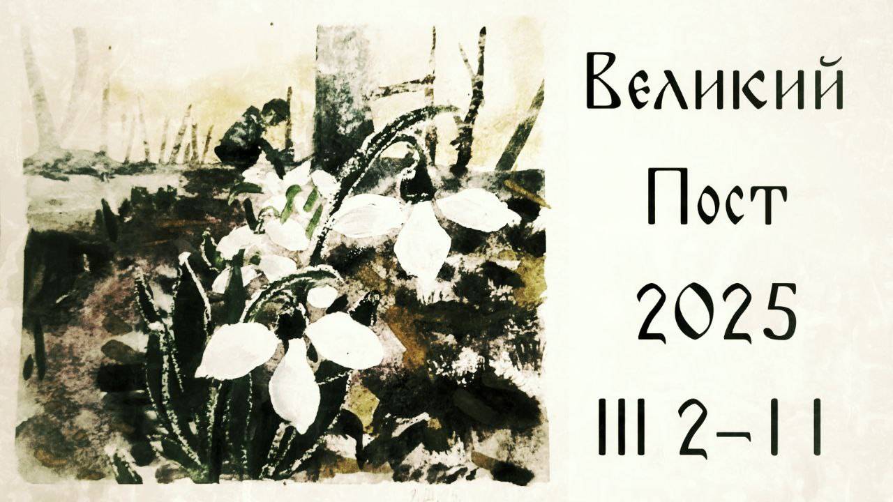 2025.03.02-11