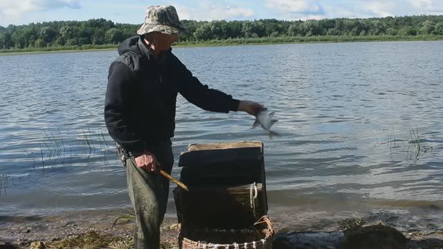 Рыбалка на реке Оке прошлым летом. Небольшой репортаж об улове. Лещ, плотва, жерех отпущен