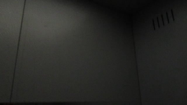 Лифт Руско Лифт (2019 г.в.), V=1 m/s, Г/П 400 кг (31)