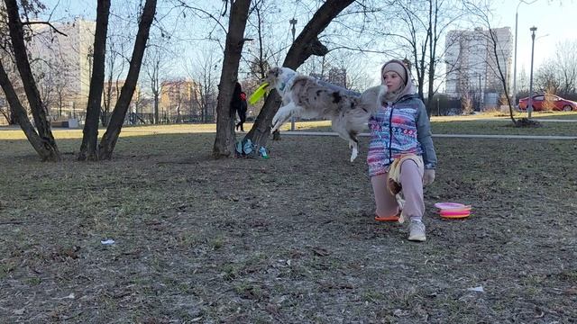 БК Рокси - вольт от колена