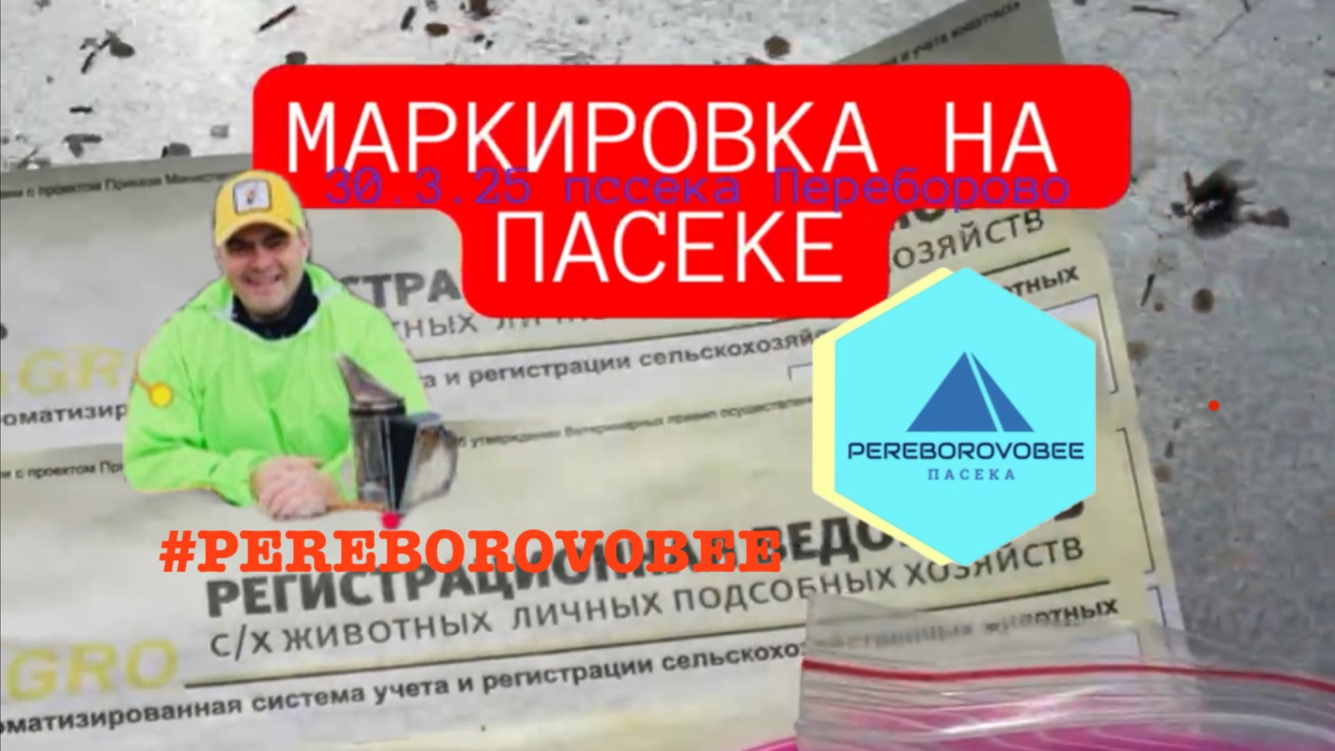 Маркировка ульев!
Как это я делаю. #pereborovobee #пчеловодство #пасека #улей #маркировка #весна