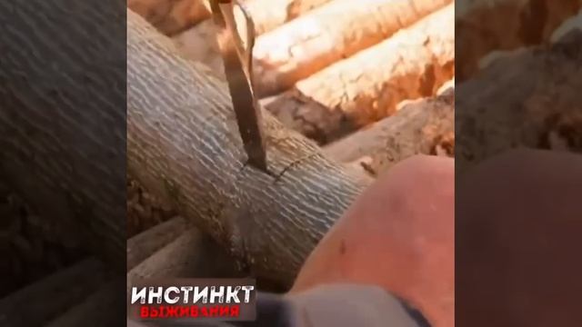 землянка из деревяшек