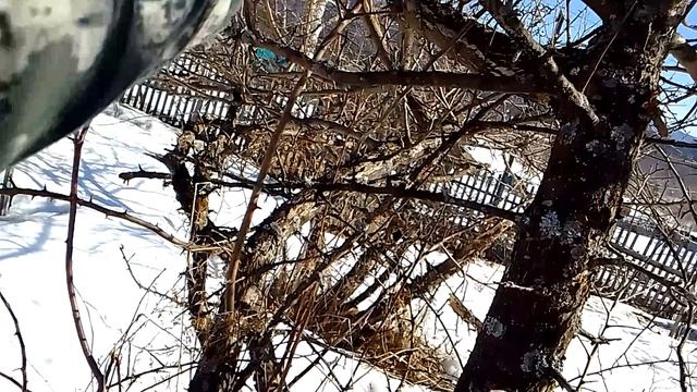 отвечаю на вопрос подписчиков о болезнях  которые к нам крадутся при потеплении климата.