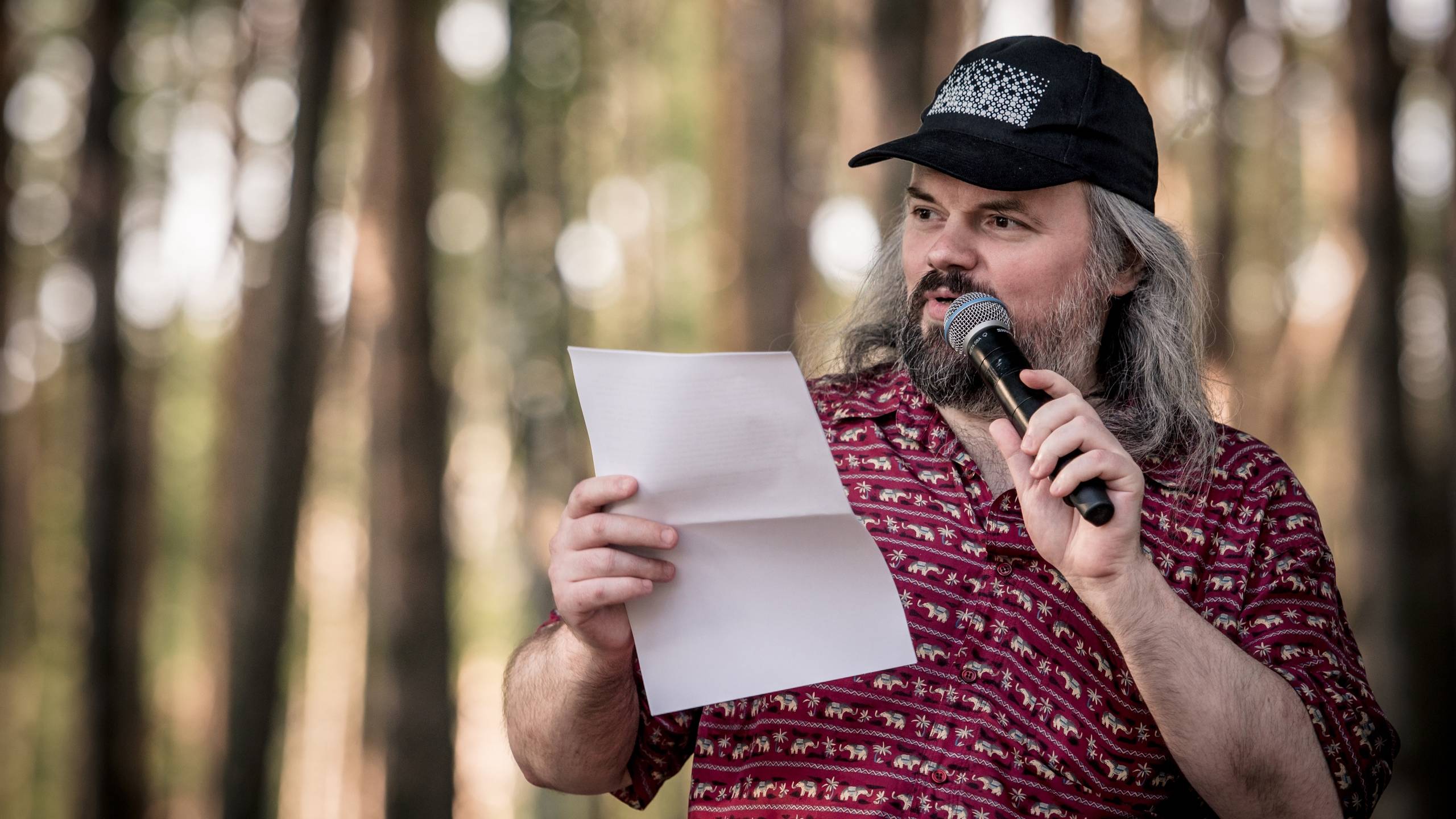 Сергей Чекмаев - Агарики