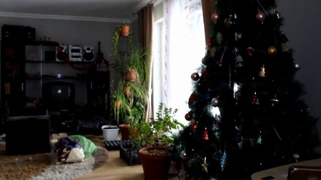 Встречаю Новый Год 2025