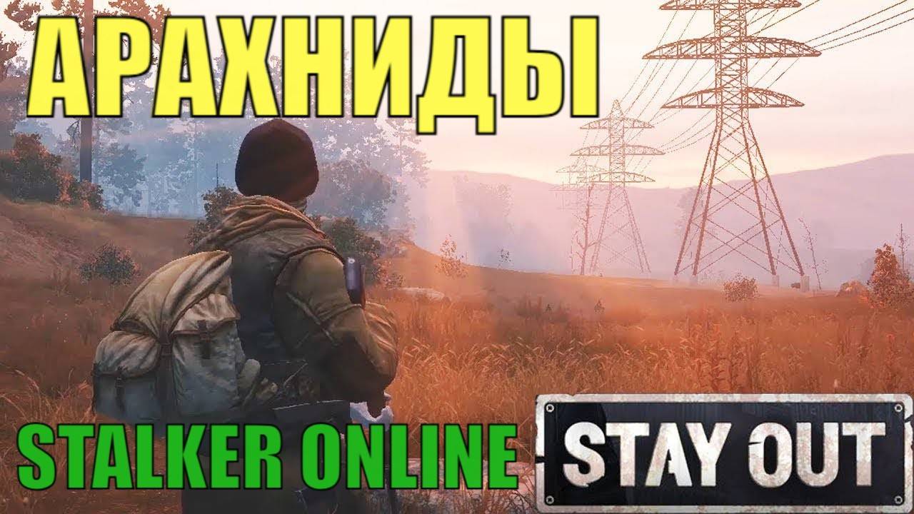 Stalker Online, Квест "Арахниды", Stay Out