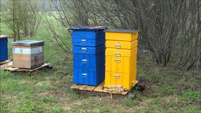 Пчеловодство с нуля.