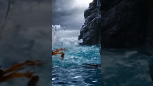 Креветка, кто слаб станет тенью 🐟