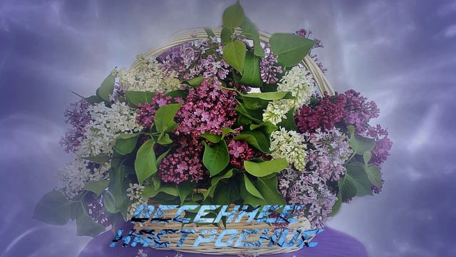 Футаж. Весеннее настроение 1