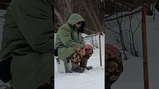 РЫБАЛКА СО ЛЬДА НА РЕКЕ ЛЫСЬВА ВЕСНОЙ 2025 ГОДА