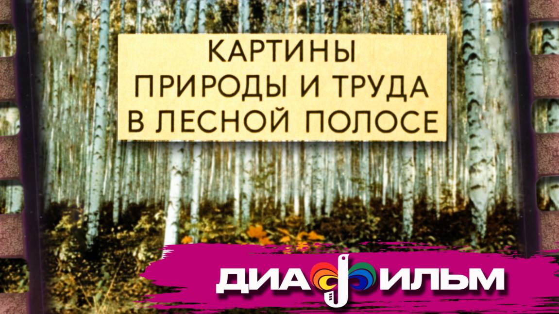 Диафильм. Картины природы и труда в лесной полосе. (Озвученный.)